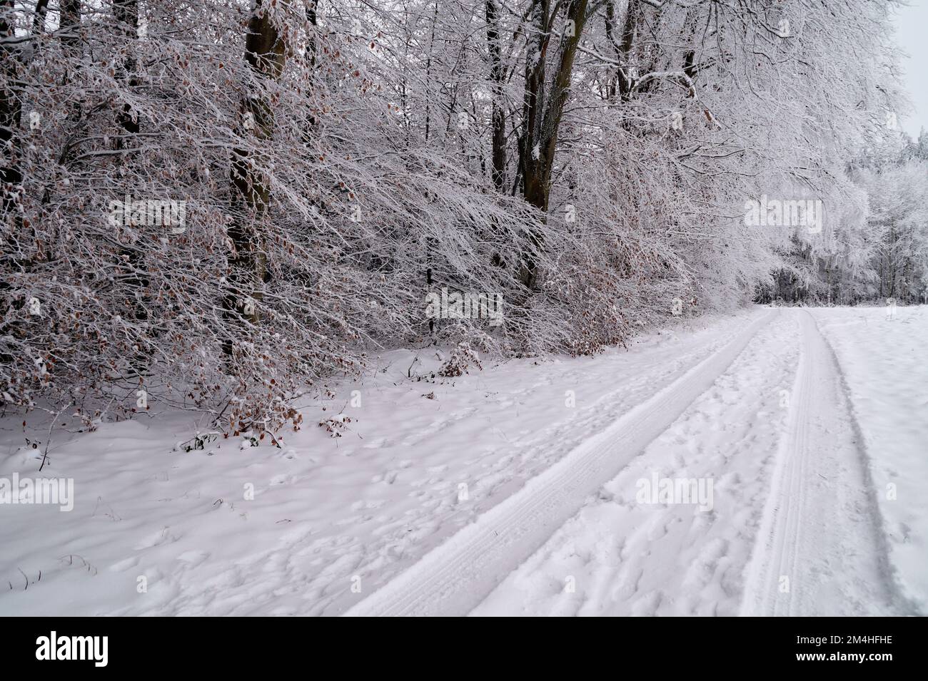 a wintery landscape of the scenic frozen Bavarian countryside in ...