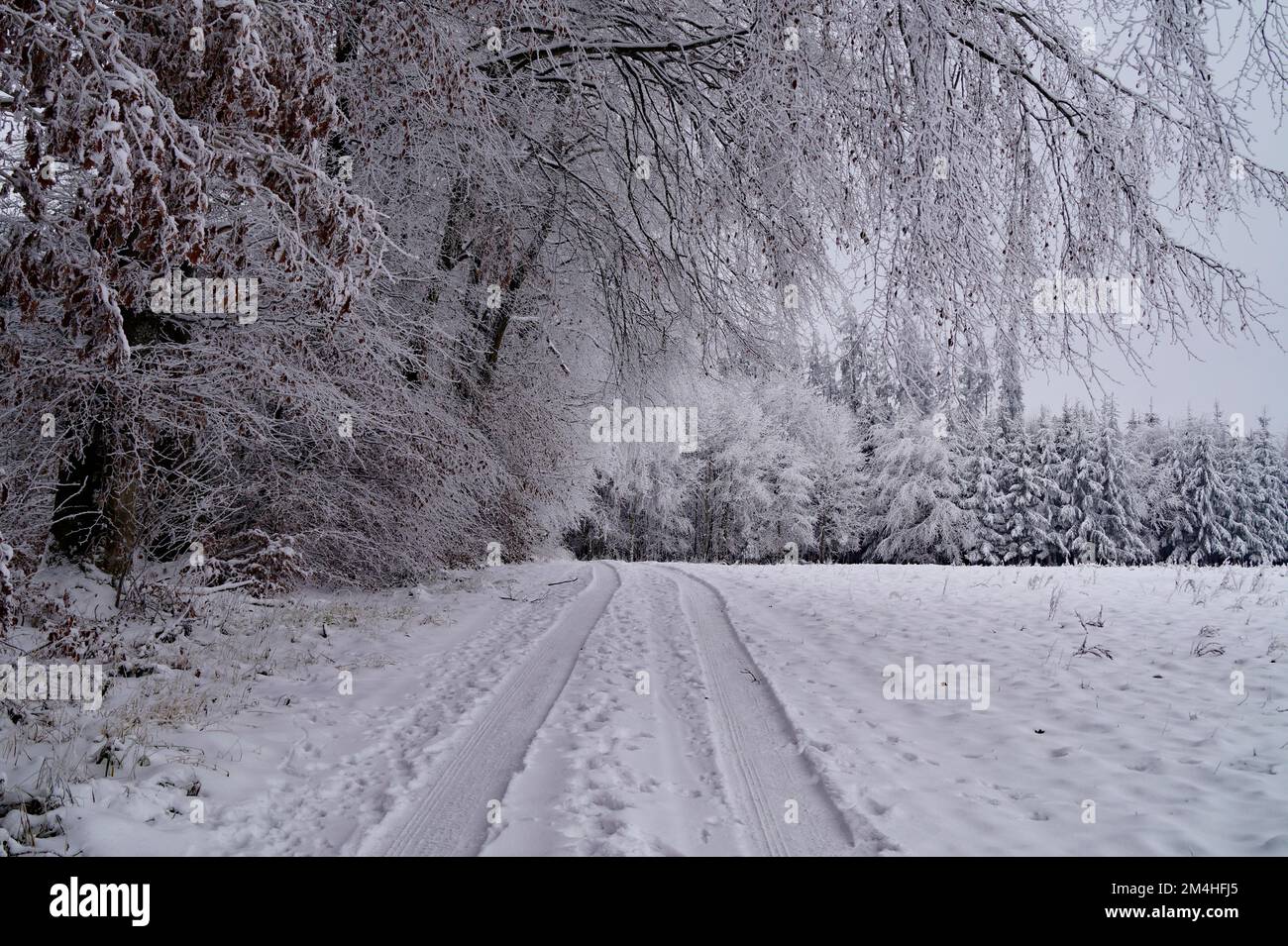 a wintery landscape of the scenic frozen Bavarian countryside in ...