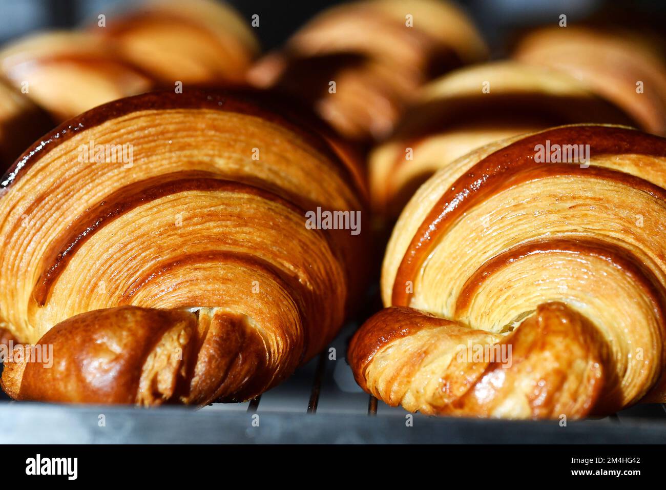 French Croissant made by baker - France Stock Photo - Alamy