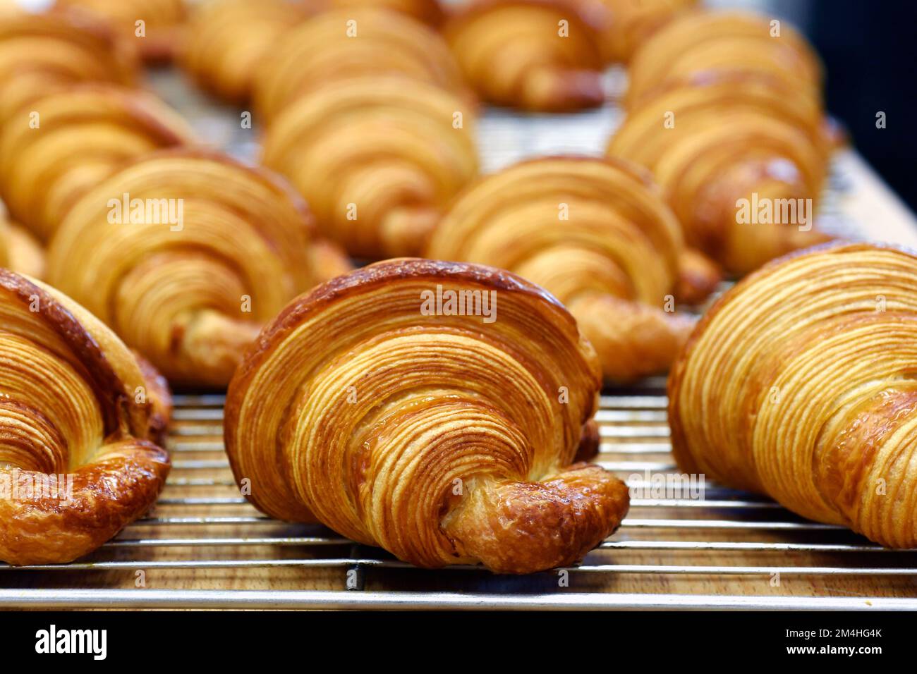 French Croissant made by baker - France Stock Photo - Alamy