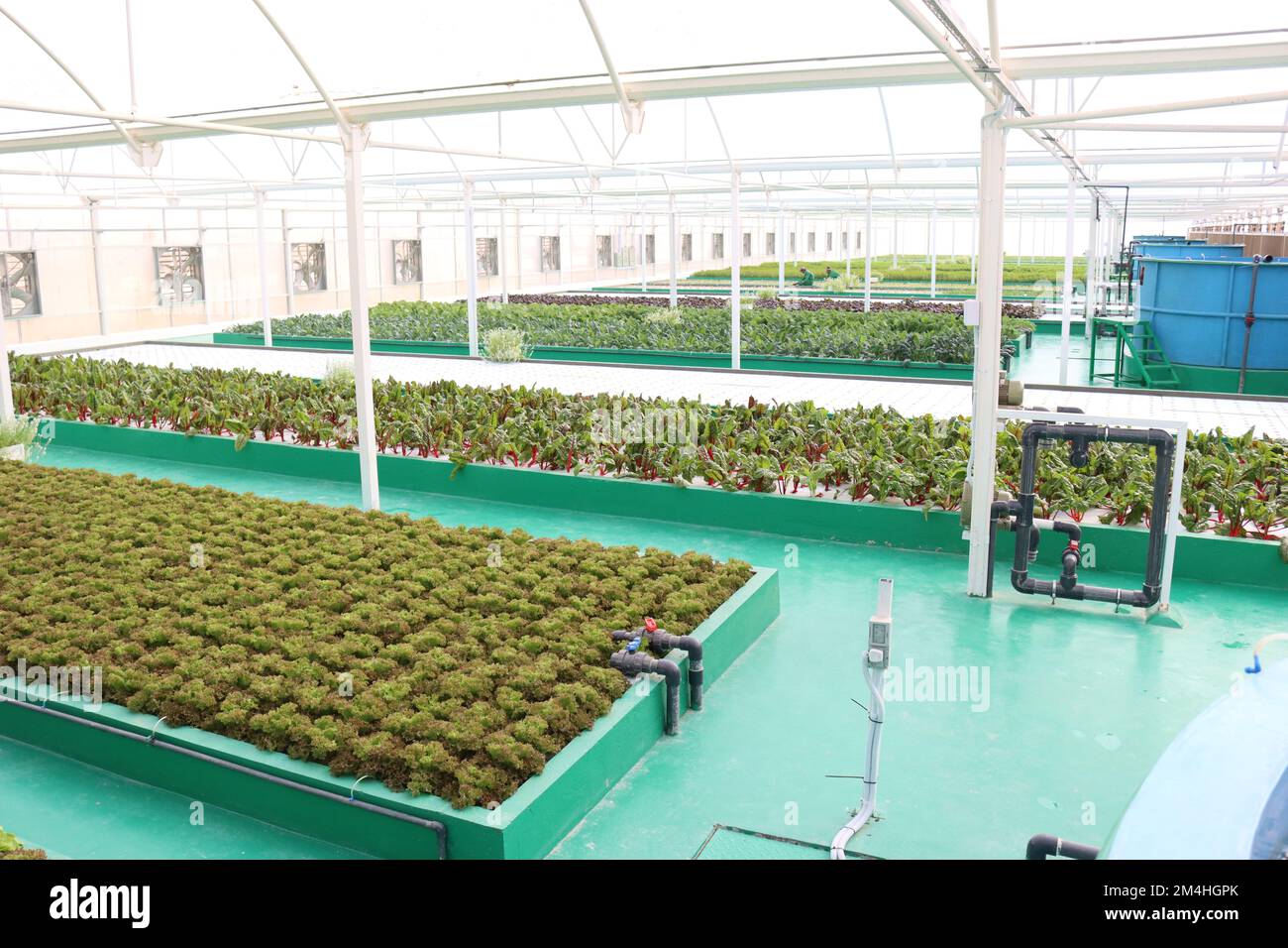 Hydroponics Farming System Stock Photo - Alamy