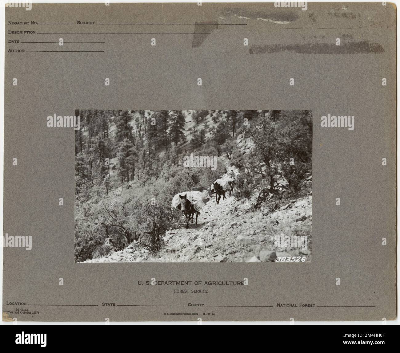Hiking / Riding - New Mexico. Photographs Relating to National Forests ...