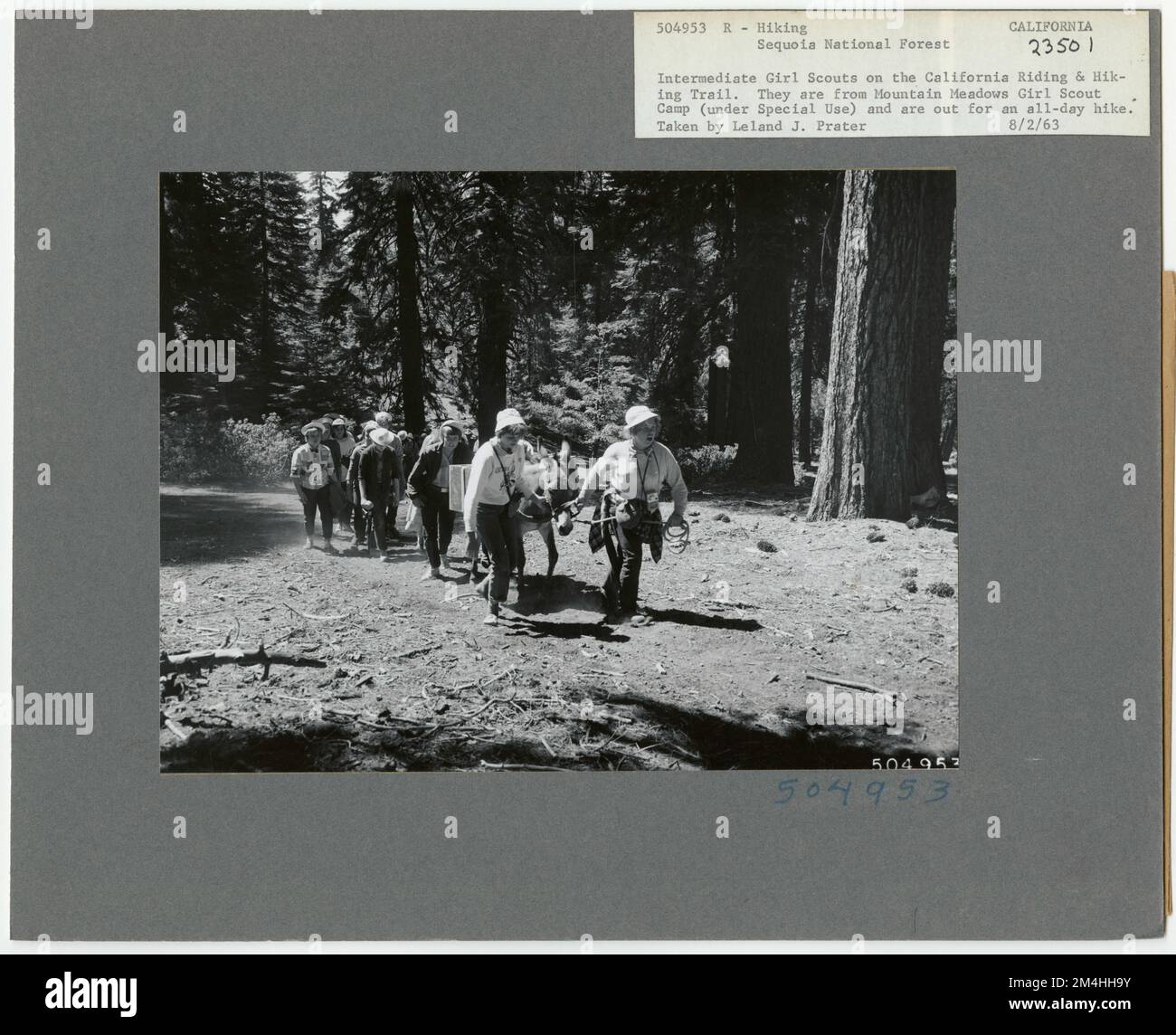 Hiking / Riding - California. Photographs Relating to National Forests ...