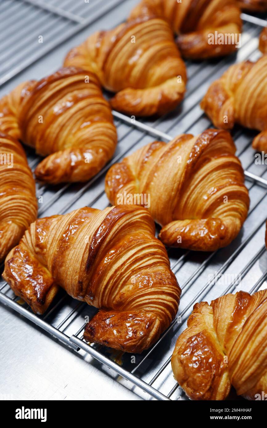 French Croissant made by baker - France Stock Photo - Alamy