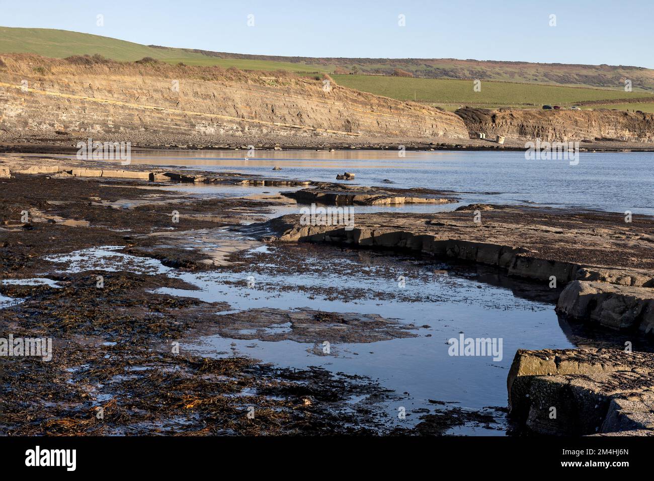 Kimmeridge Ledge, dolomite ledge, Kimmeridge Bay, Kimmeridge, Isle of ...