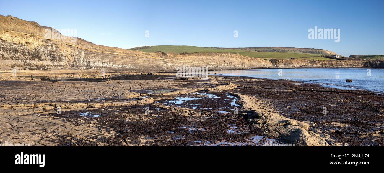 Kimmeridge Ledge with red algae, dolomite ledge, Kimmeridge Bay ...