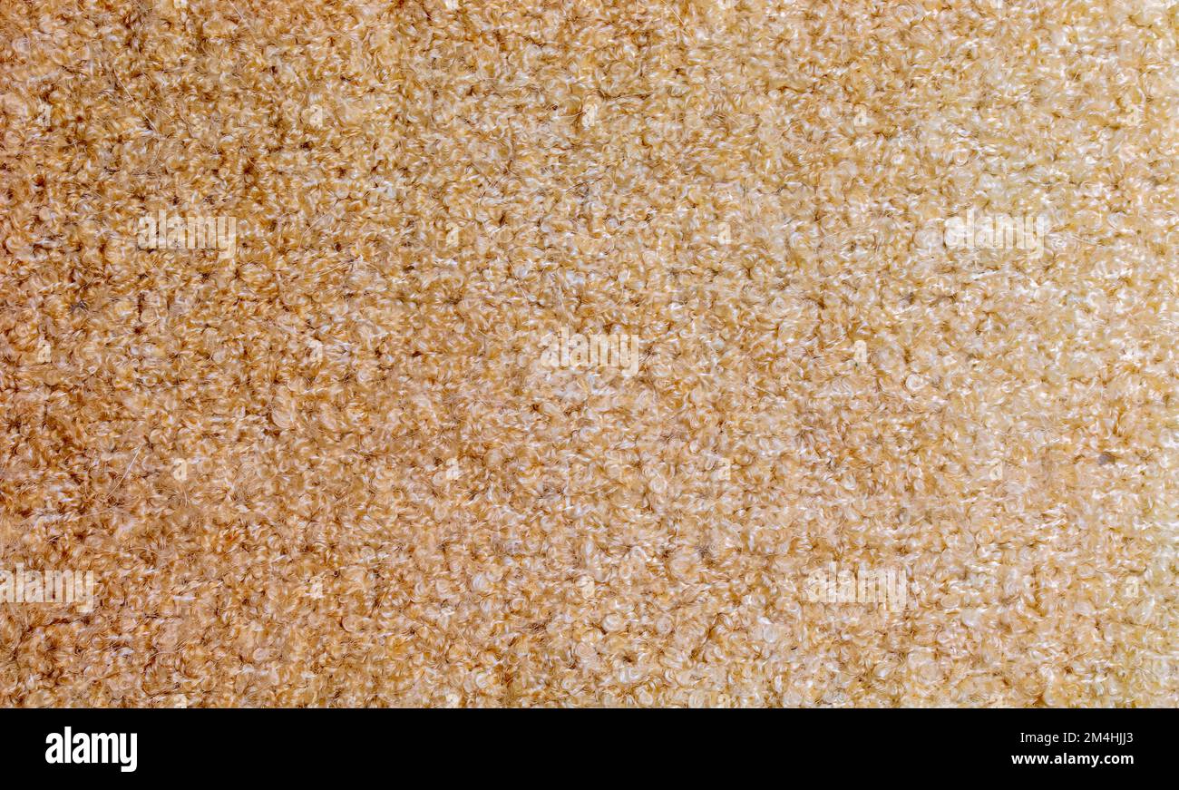 Knitted wool textile textured background in light beige creamy brown ...