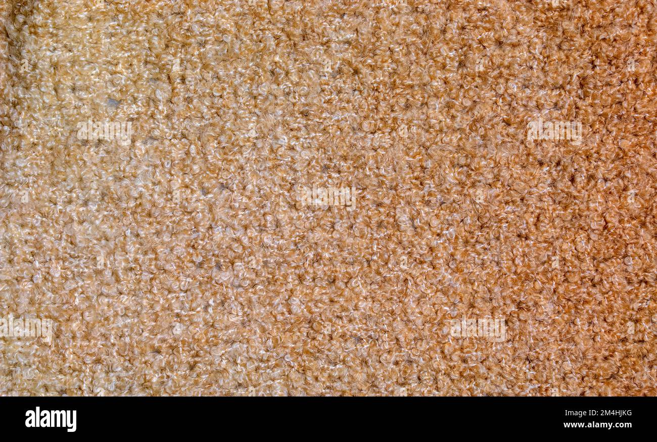 Knitted wool textile textured background in light beige creamy brown ...