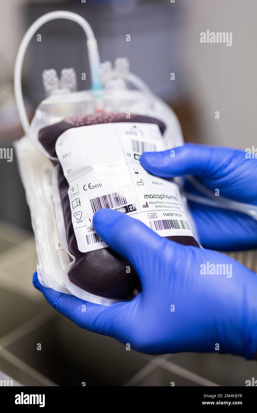 Lehrte, Germany. 21st Dec, 2022. An employee of the DRK blood donation ...
