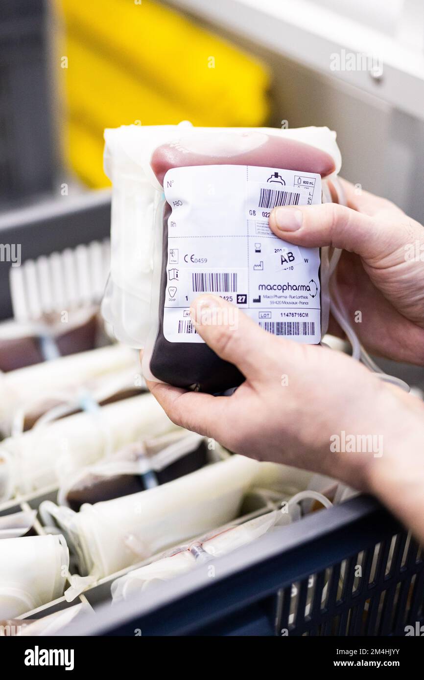 Lehrte, Germany. 21st Dec, 2022. An employee of the DRK blood donation ...