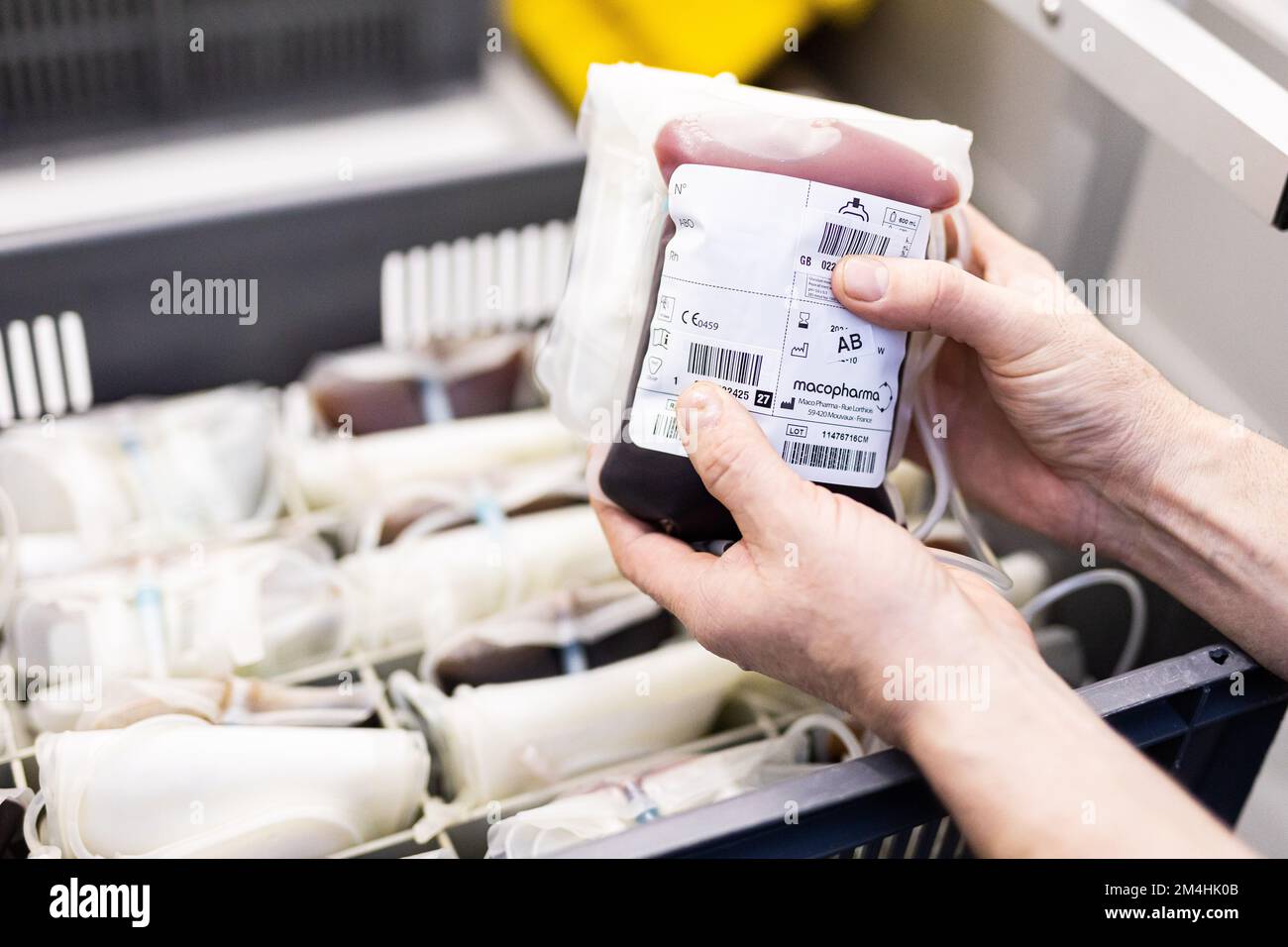 Lehrte, Germany. 21st Dec, 2022. An employee of the DRK blood donation ...