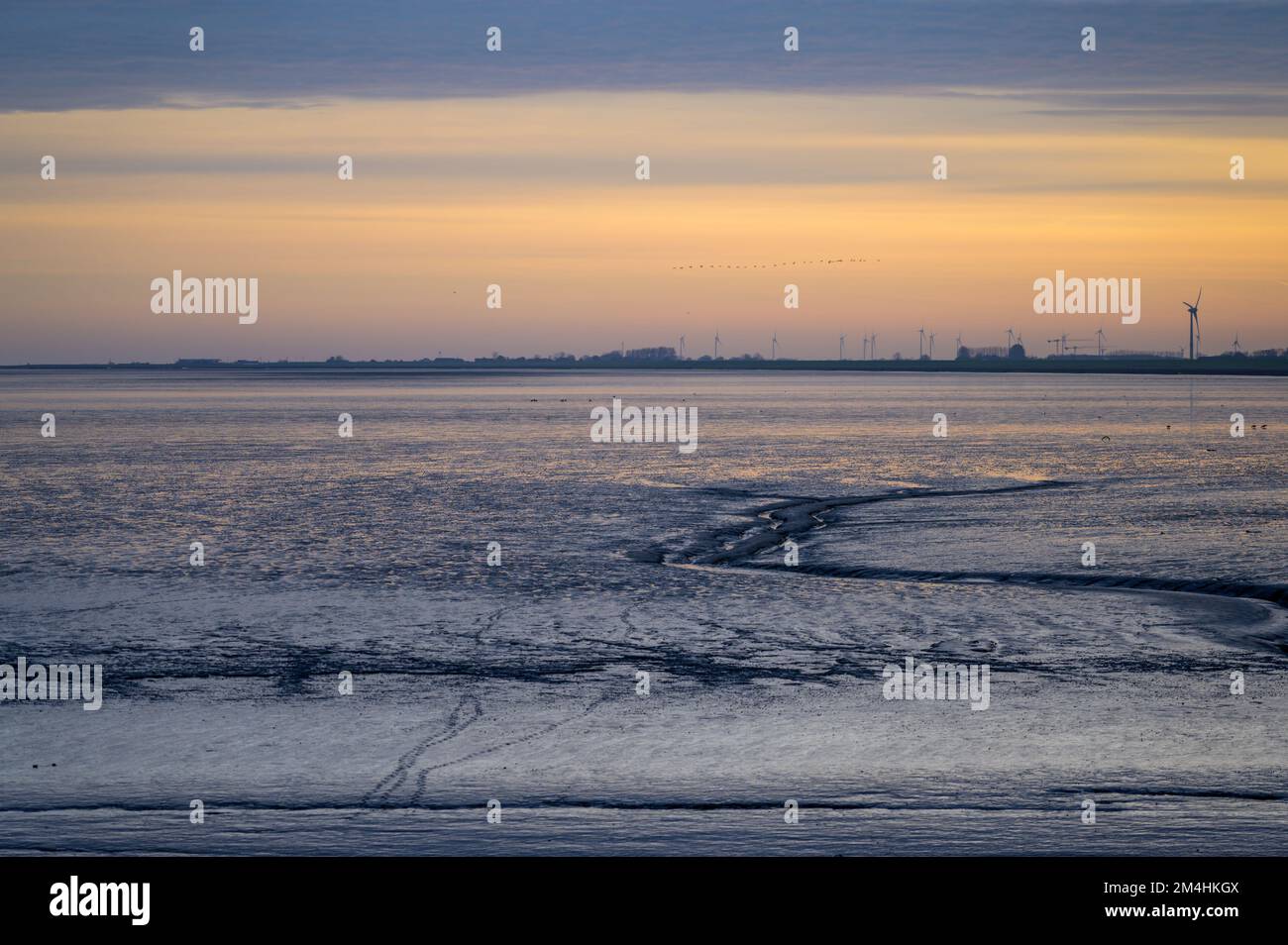 Wadden Sea near Neuharlingersiel, Germany at sunrise with flock of ...