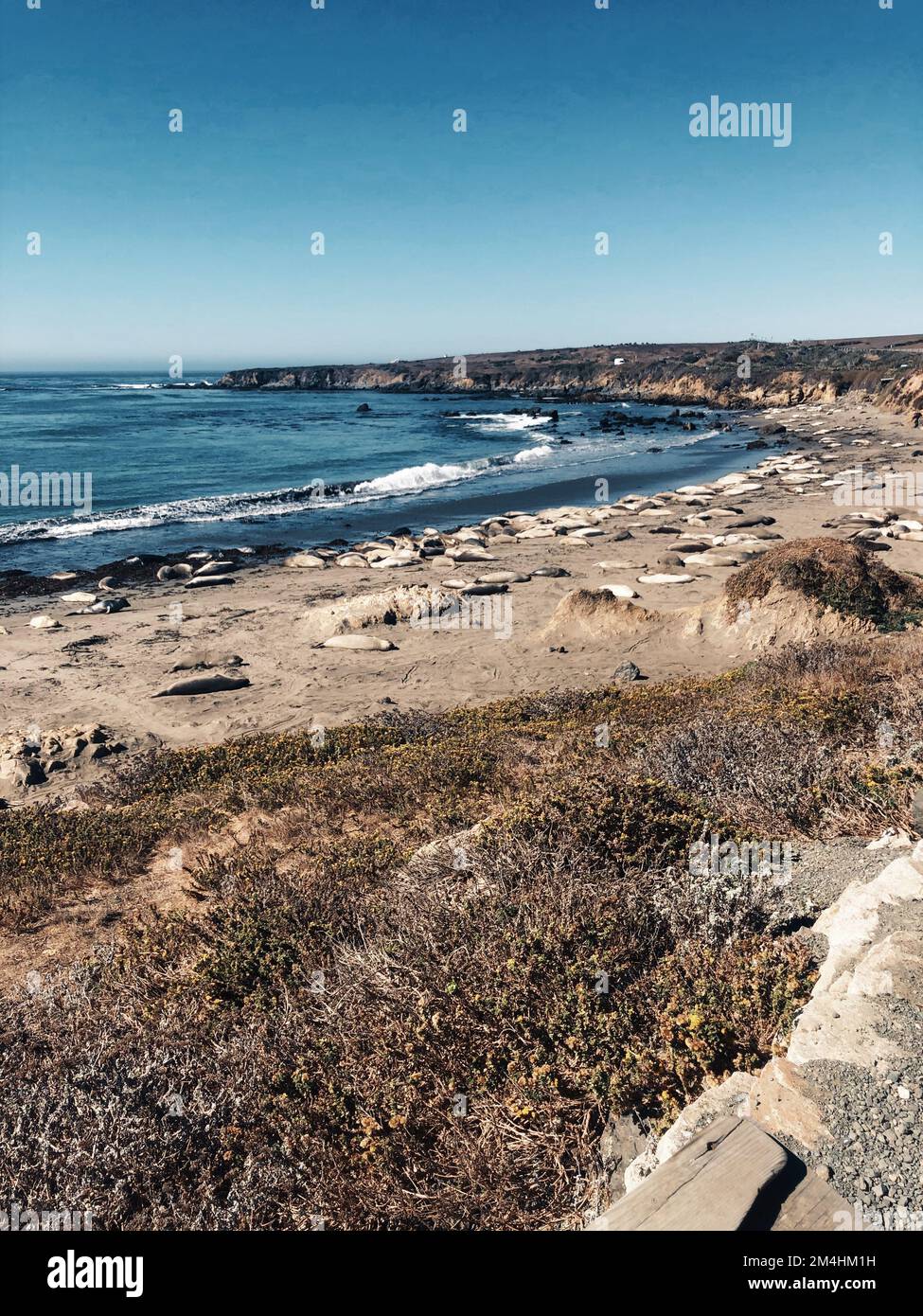 An aerial view of a sandy beach and cliffs on a sunny morning in ...