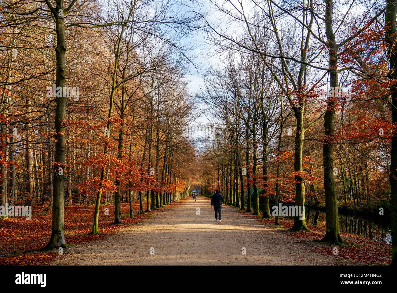 Wandering lane hi-res stock photography and images - Alamy