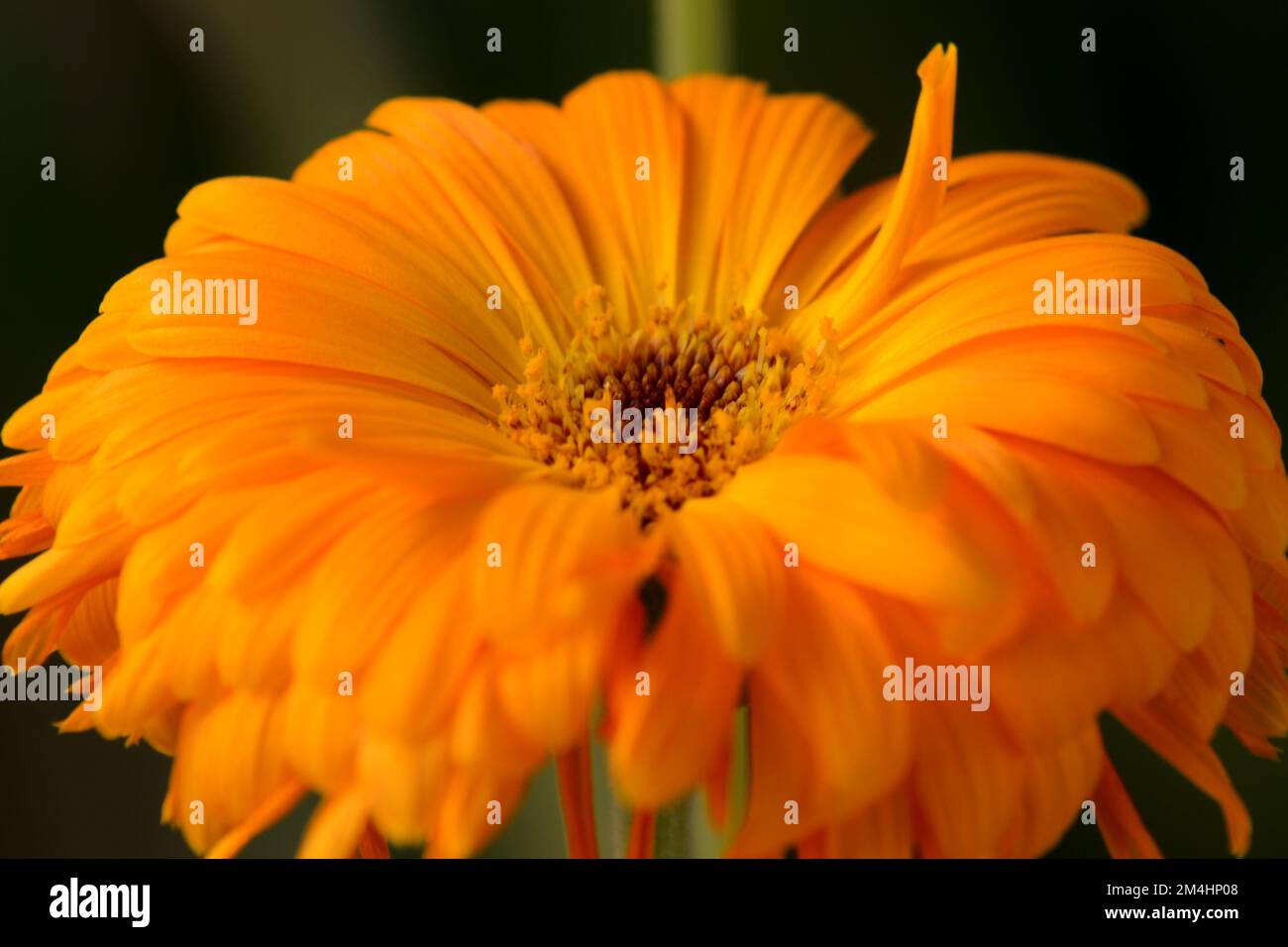 Environment enviroment green field hi-res stock photography and images - Alamy