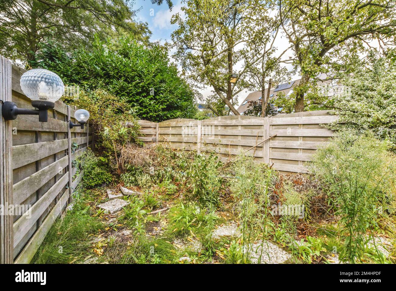 the back yard, with some plants and trees in the fore - image is taken ...