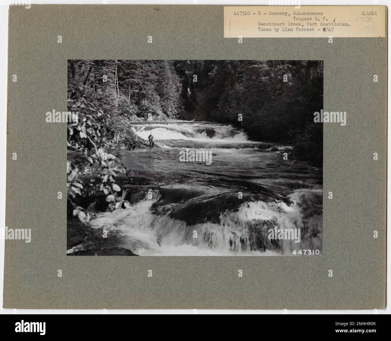 Waterfall Scenes - Alaska. Photographs Relating to National Forests ...