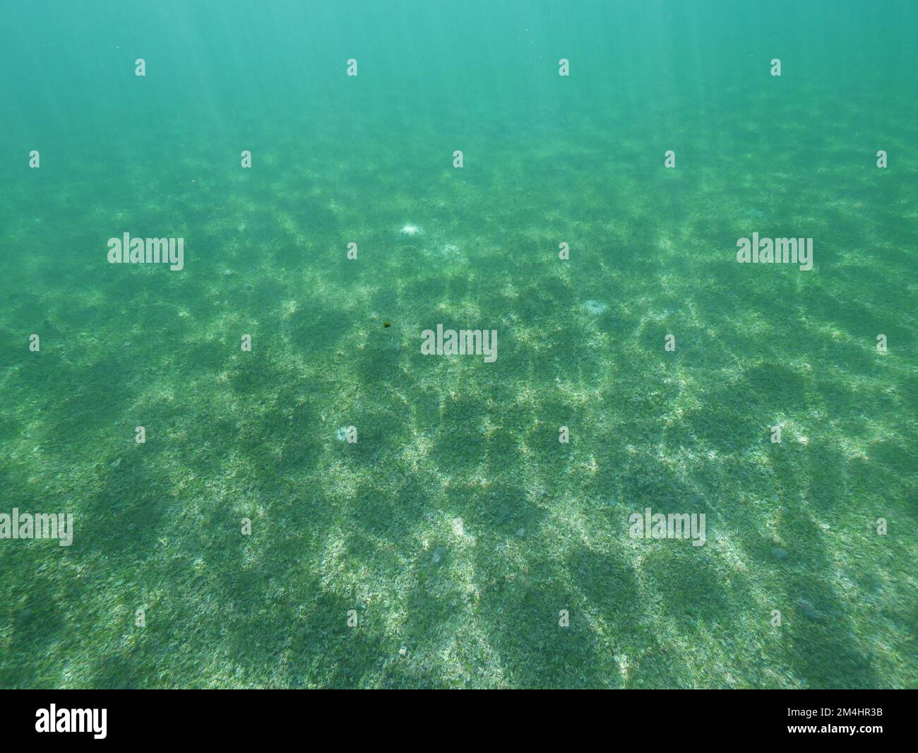 caribbean sea split level ocean Stock Photo - Alamy