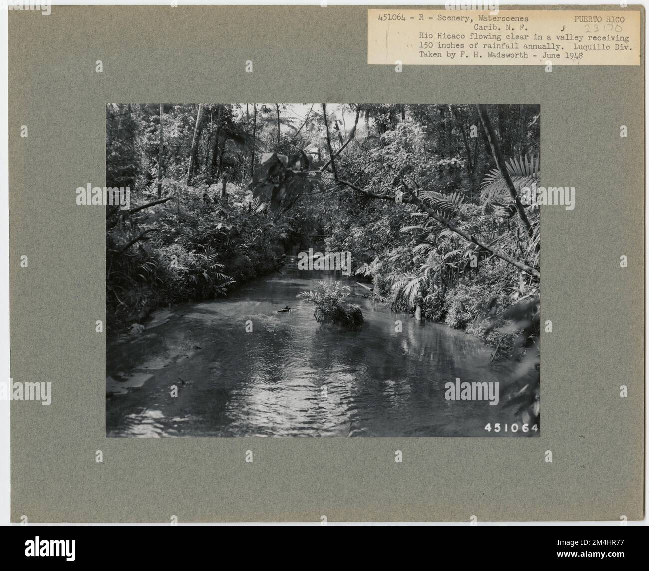 River Scenes - Foreign. Photographs Relating to National Forests ...
