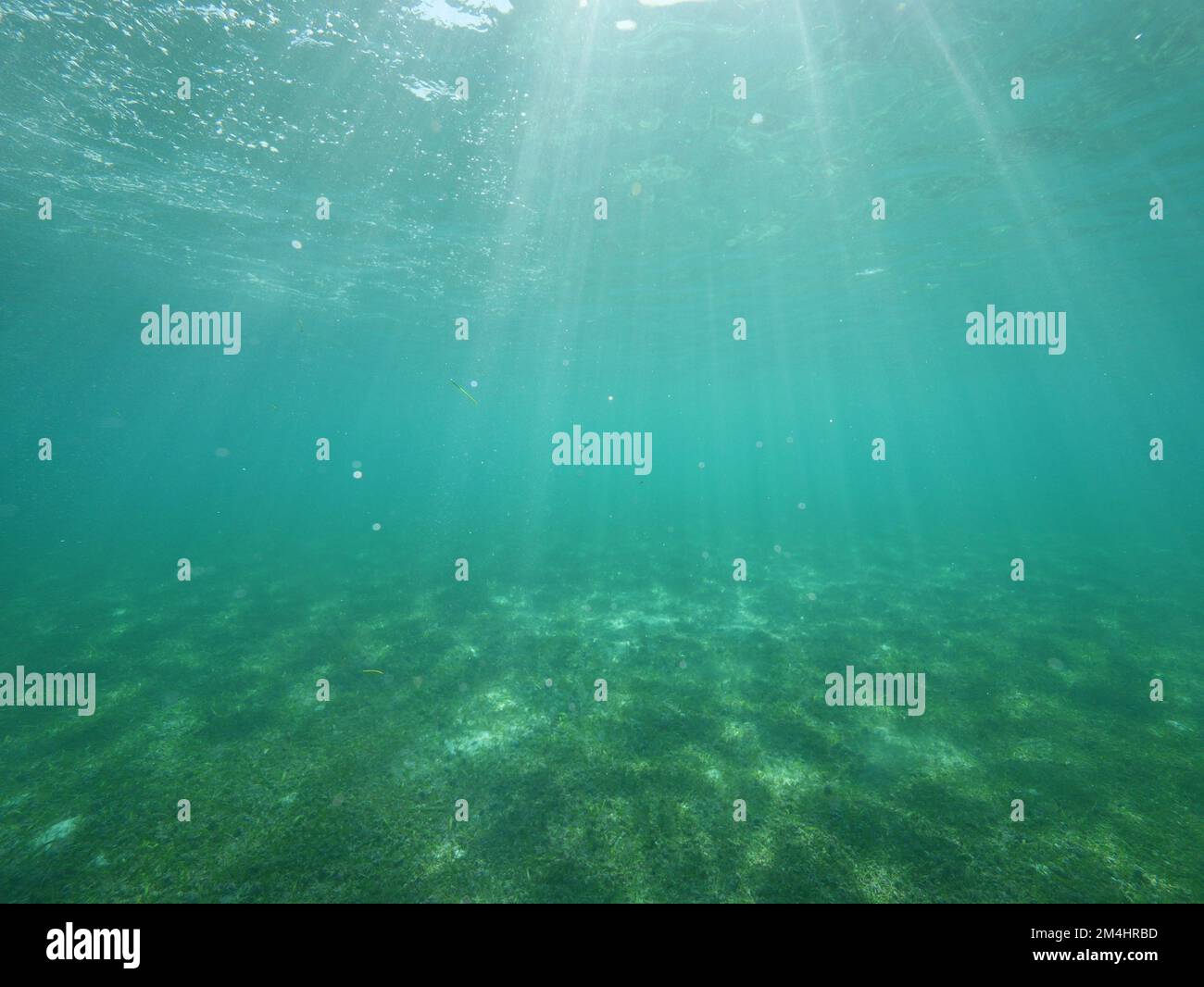 caribbean sea split level ocean Stock Photo - Alamy