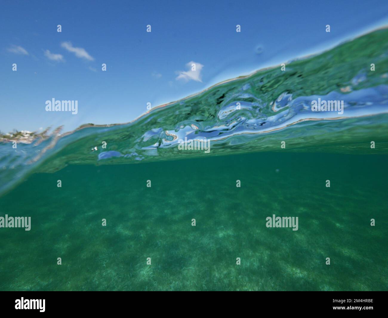 Caribbean reef water level hi-res stock photography and images - Alamy