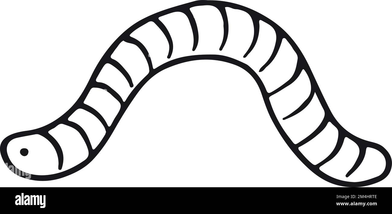 Worm doodle. Hand drawn animal. Earthworm sketch Stock Vector Image ...