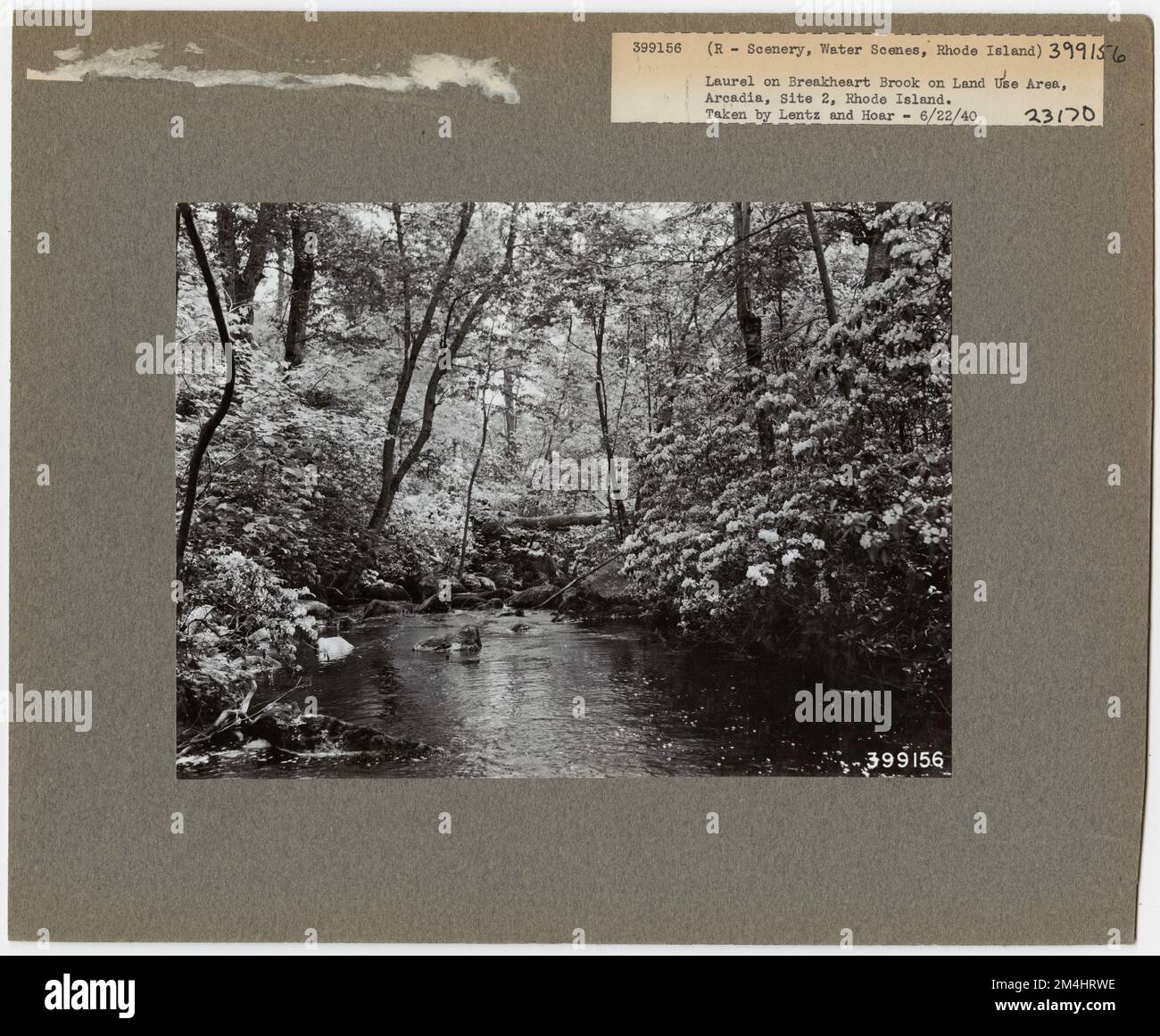 River Scenes - Rhode Island. Photographs Relating to National Forests ...