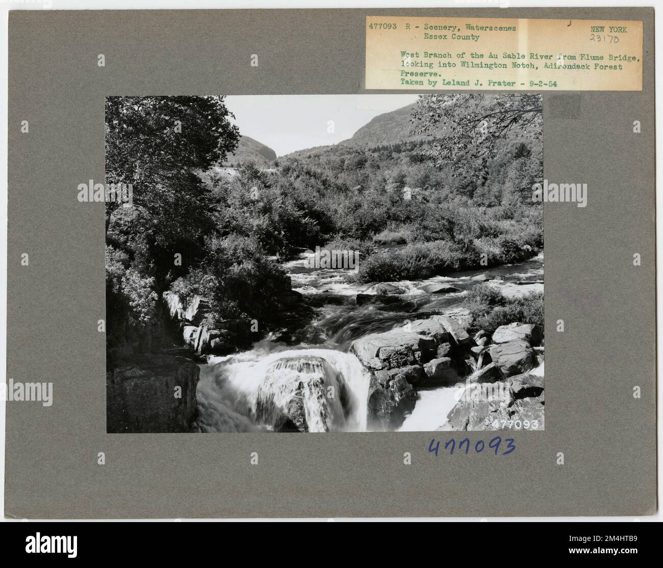 River Scenes - New York. Photographs Relating to National Forests ...