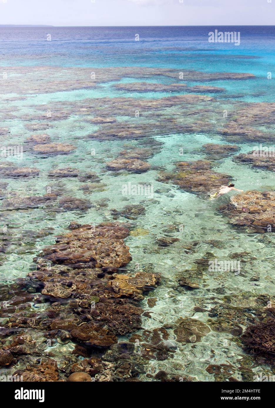 The snorkeling activity in transparent waters on Easo village, Lifou ...