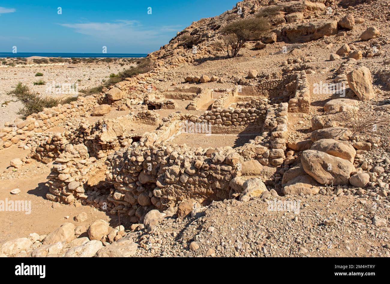 Archaeological site, Ancient City of Qalhat, Oman Stock Photo - Alamy