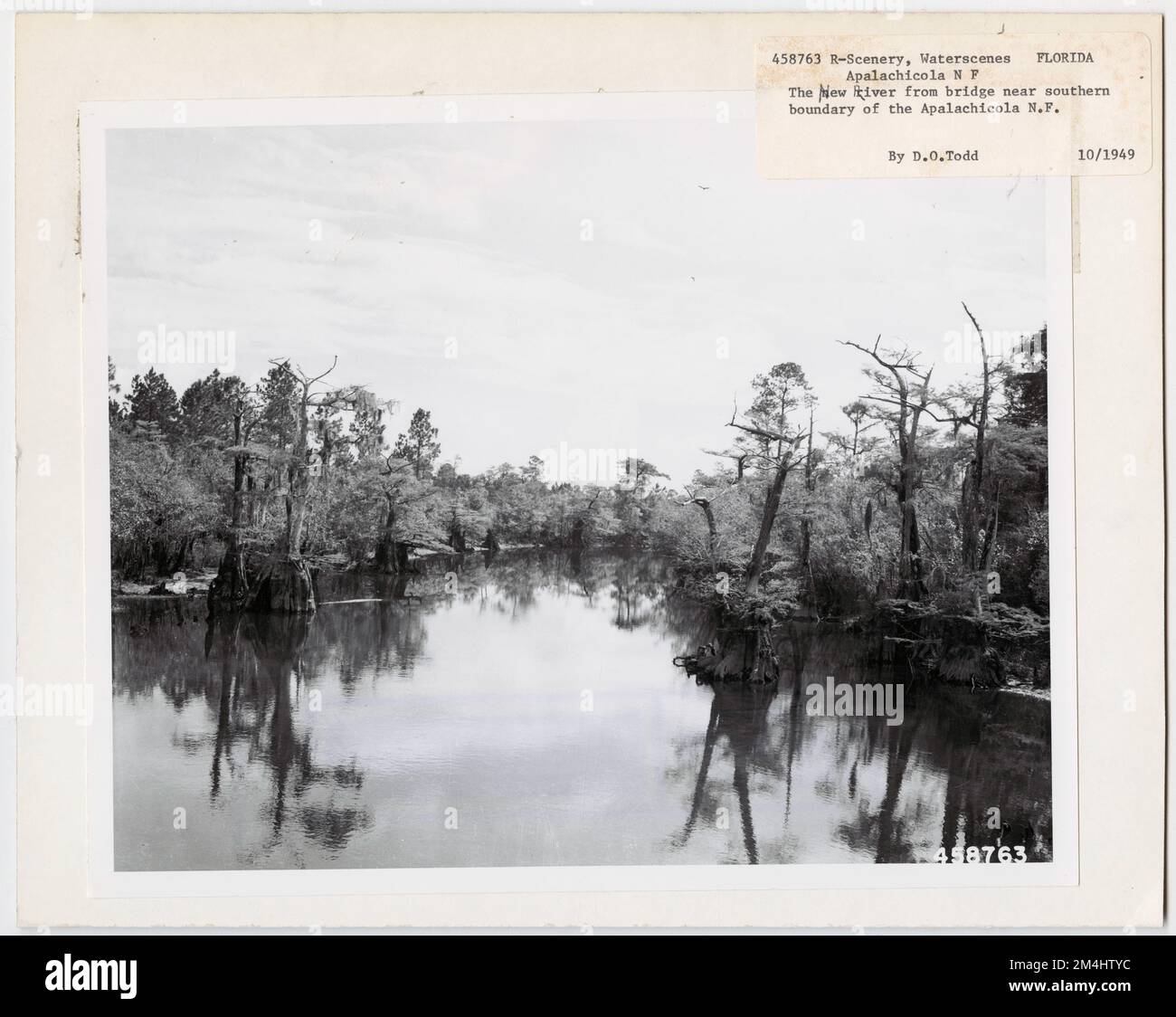 River Scenes - Florida. Photographs Relating to National Forests ...