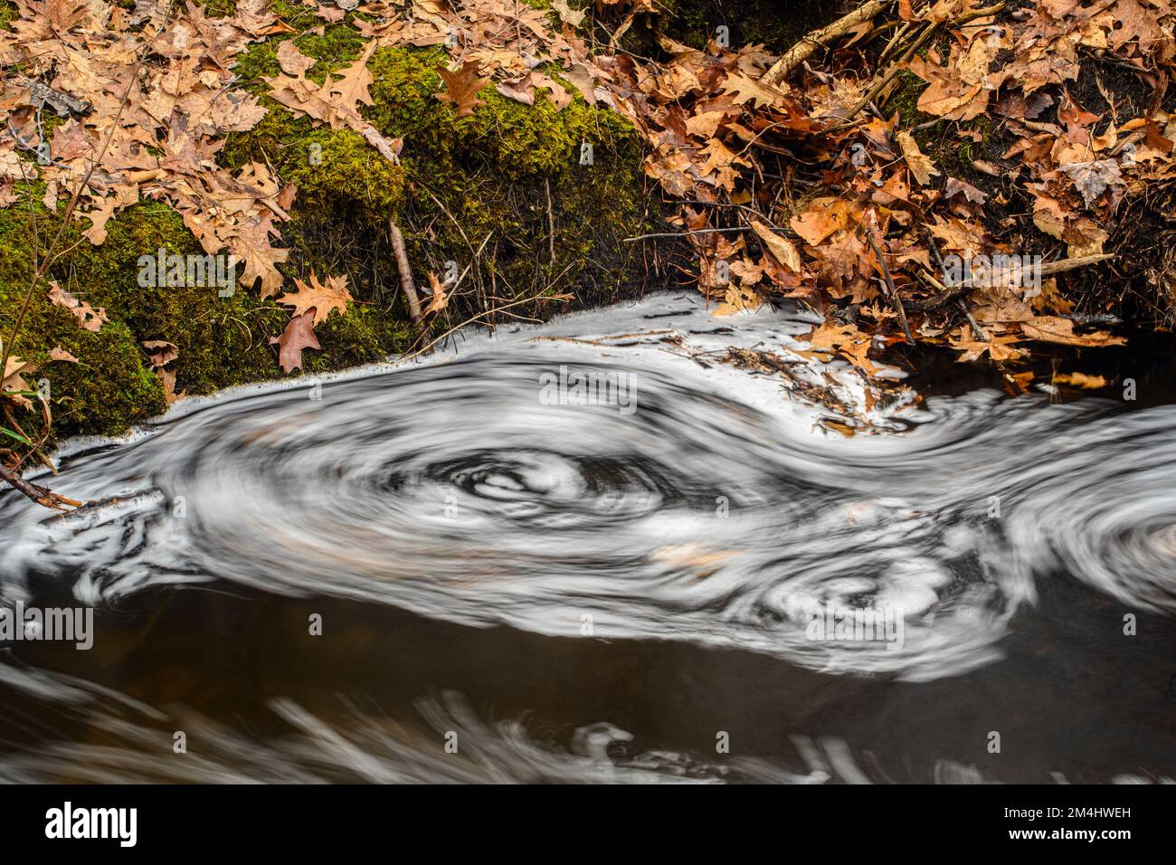 Leaf eddy patterns hi-res stock photography and images - Alamy
