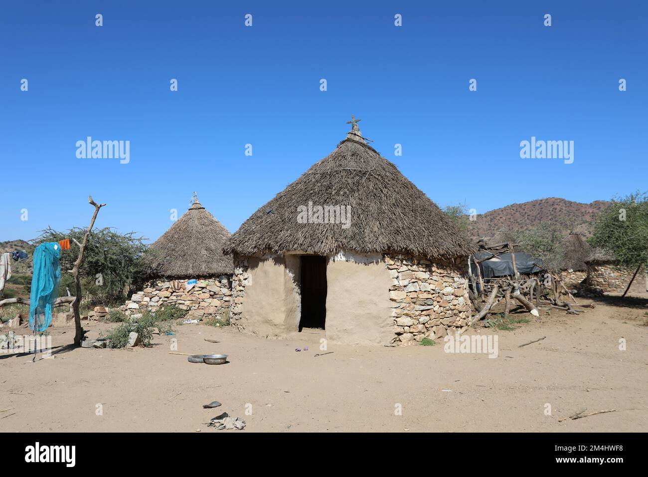 Tigréan hi-res stock photography and images - Alamy