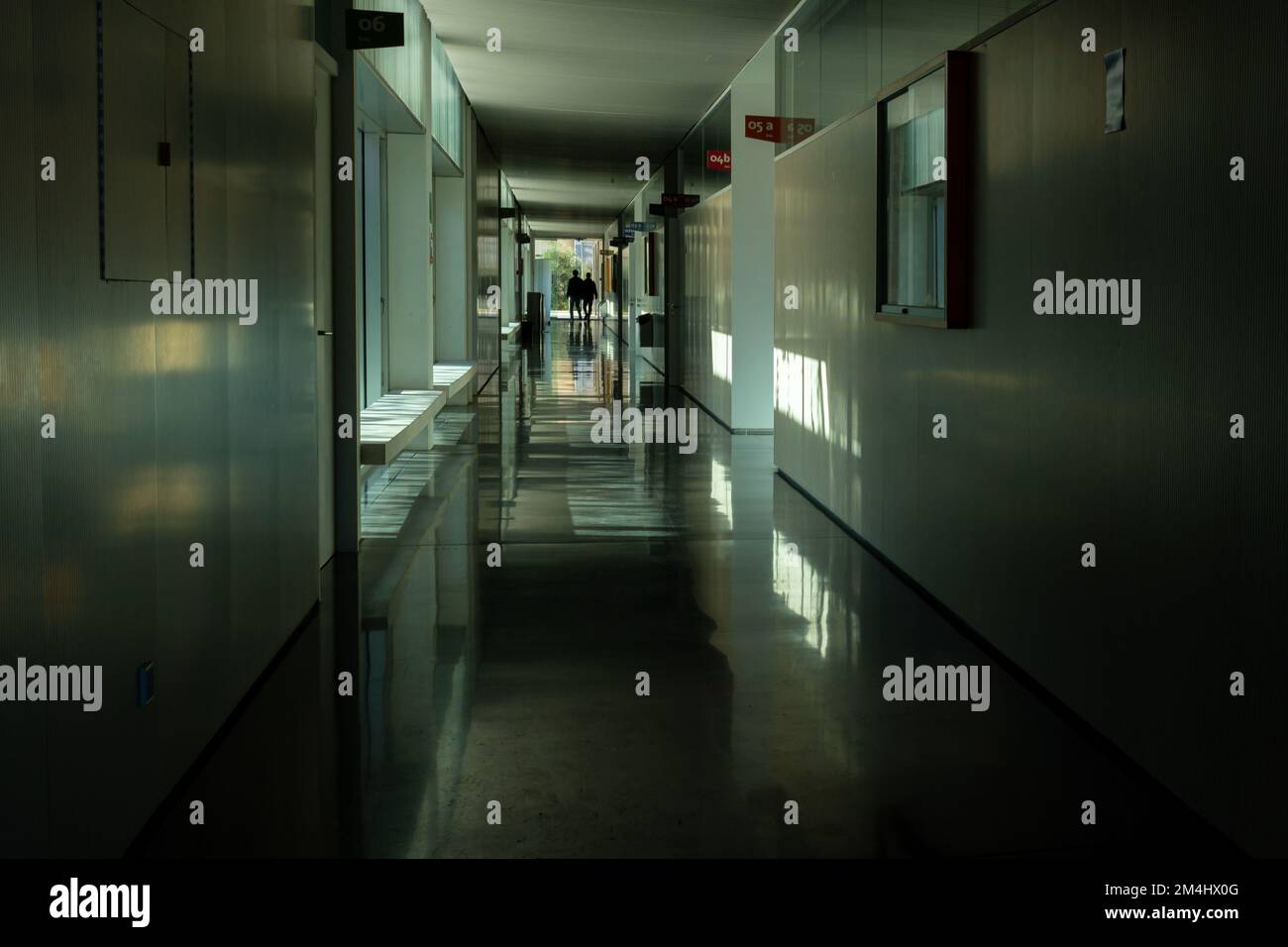 Palma de Mallorca, Spain; december 15 2022: Main facade of the Doctoral ...