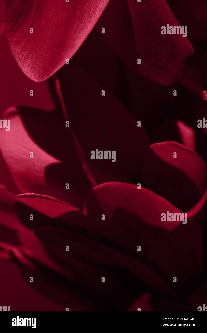 Dark red color hi-res stock photography and images - Alamy