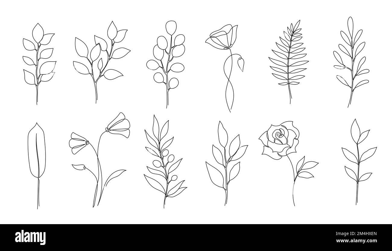 Flower, floral leaf one line art. One continuous line art leaf, flower ...