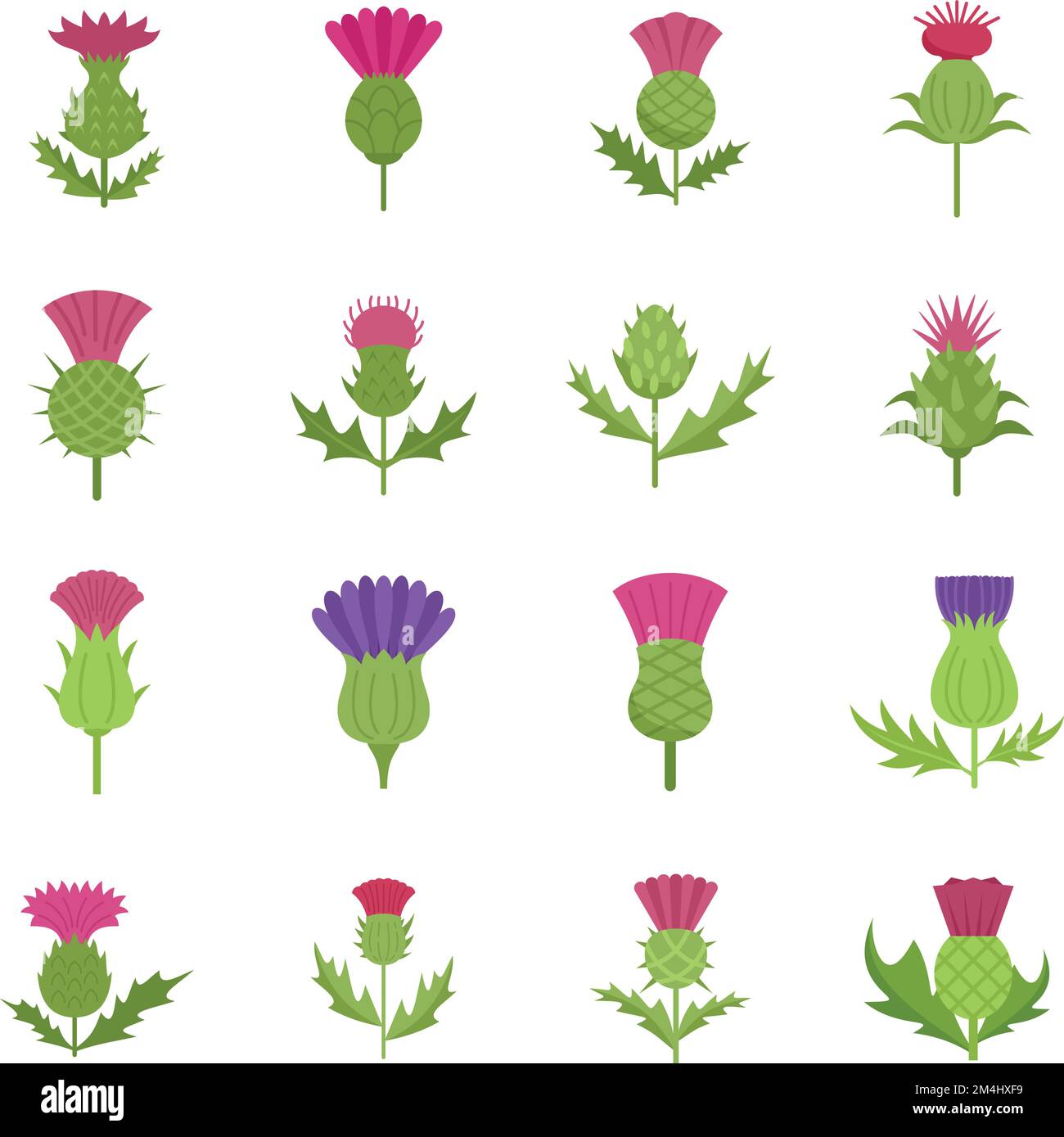 Thistle icons set flat vector. Scottish flower. Blossom plant isolated ...