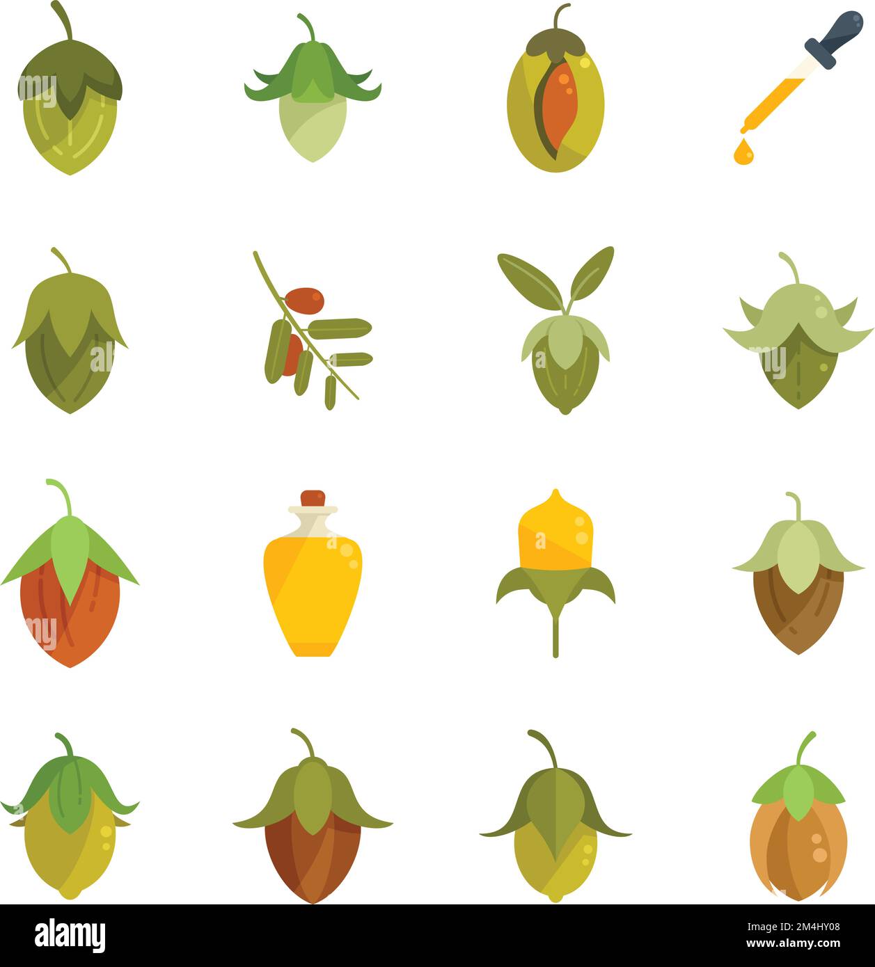 Jojoba icon flat vector. Beauty blossom. Botanical cosmetics isolated ...
