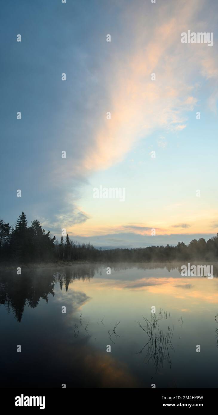 Freshwater pond ecosystem landscapes hi-res stock photography and ...