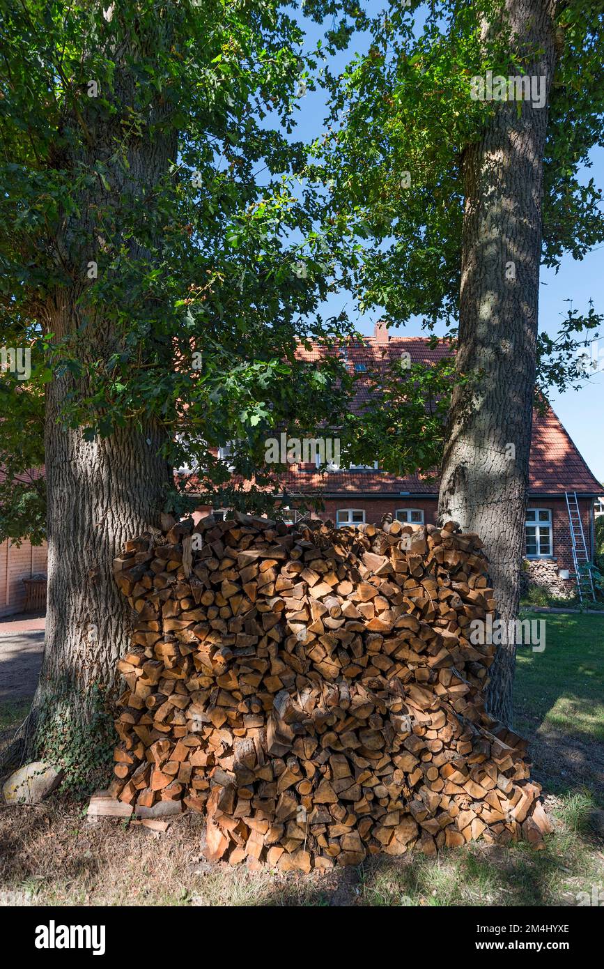 Two oak trees hi-res stock photography and images - Alamy
