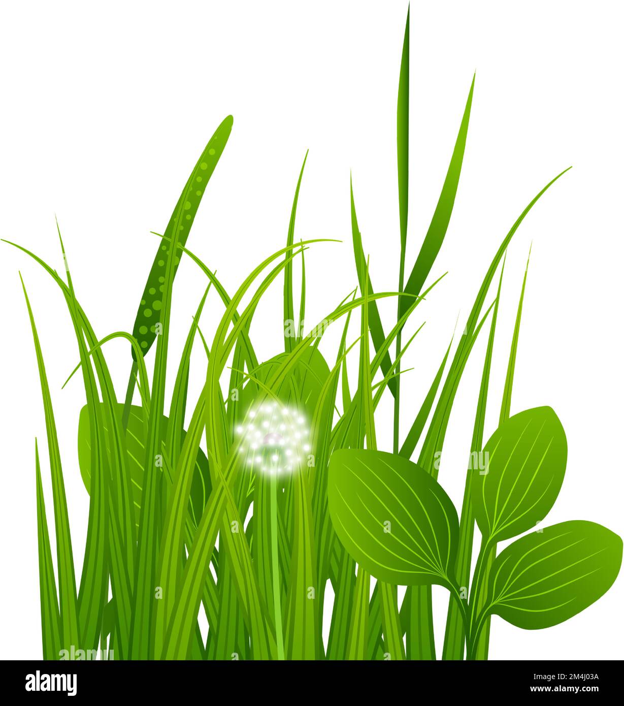 Garden grass growing. Natural fresh realistic plant Stock Vector Image ...
