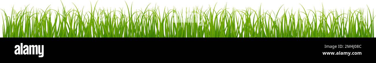 Green lawn border with realistic growing grass blades Stock Vector ...