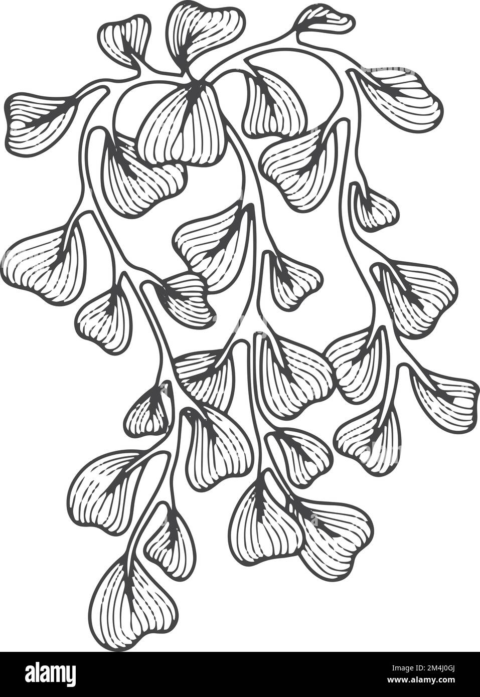 Botanical element in japanese style. Black line drawing Stock Vector ...