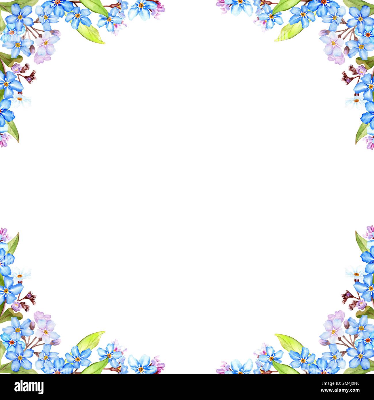 Forget-me-not flowers frame, hand drawn watercolor illustration Stock ...