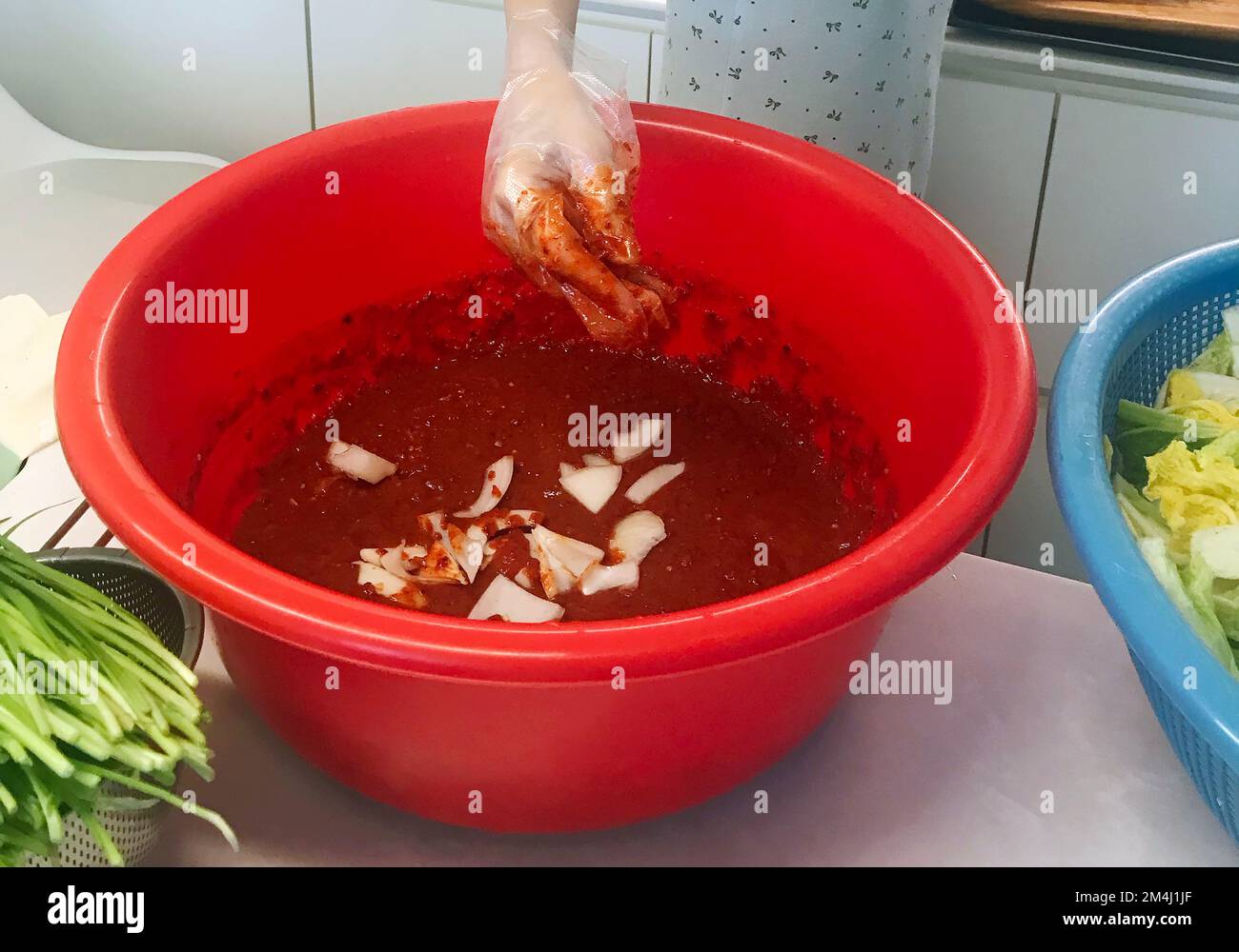 Woman is making Kimchi in South Korea Stock Photo - Alamy