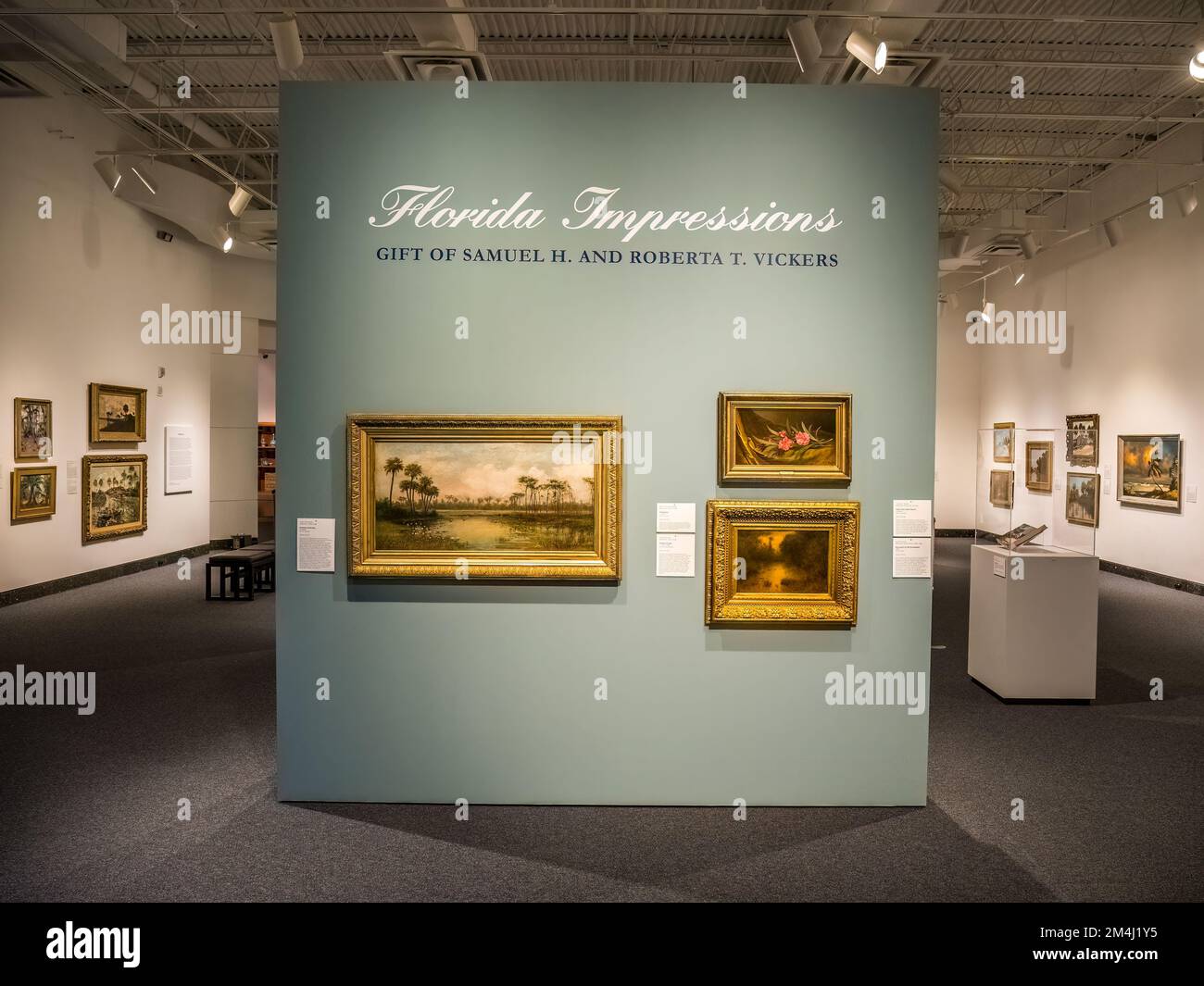 Samuel p harn museum of art hi-res stock photography and images - Alamy