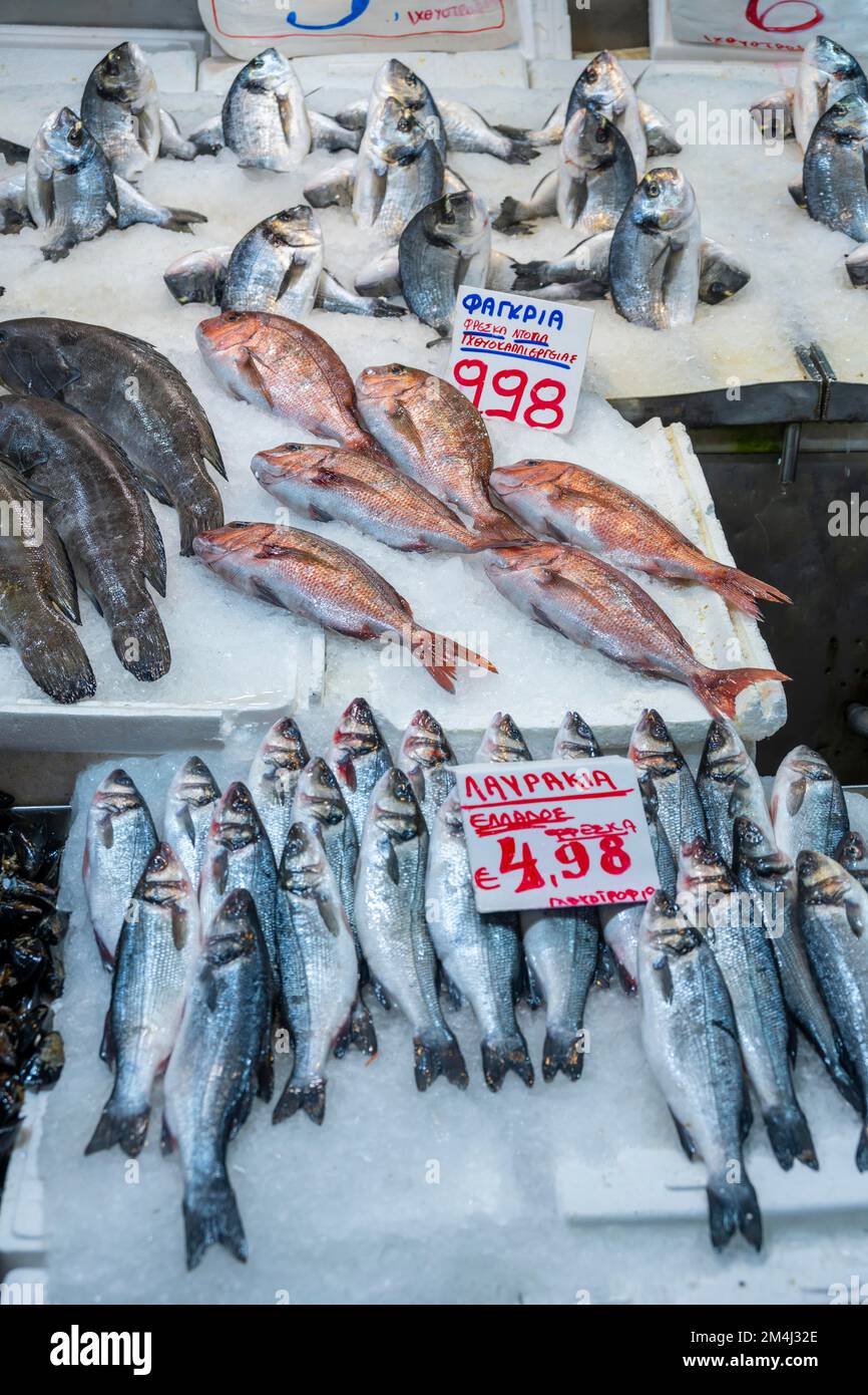 Raw fish at a stall, fish market, central market, Athens, Greece Stock ...