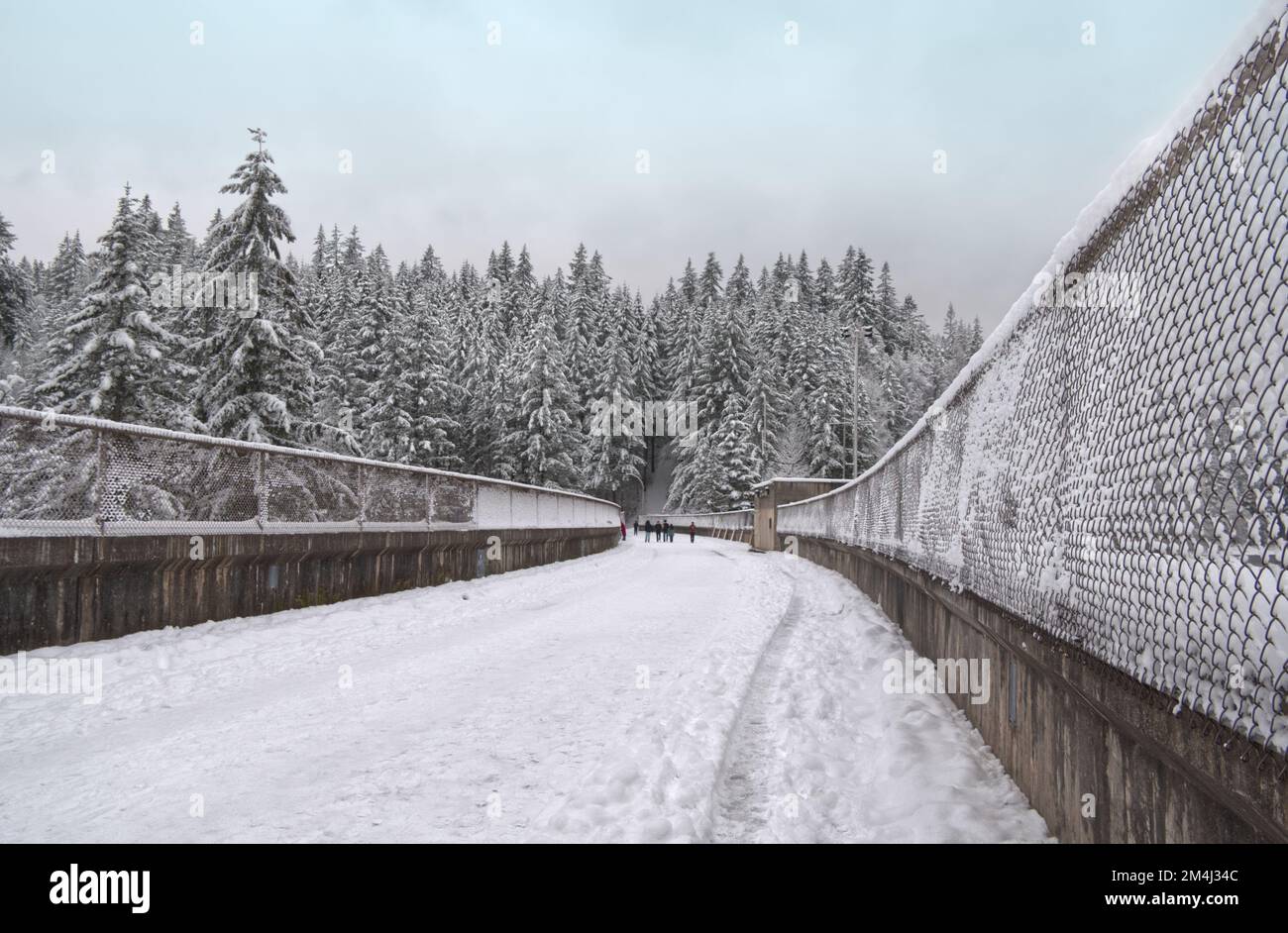 Snowy winter landscape at the Capilano River Regional Park near the ...
