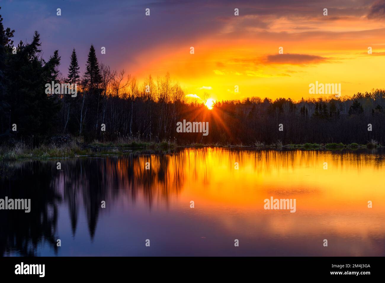 Sunrise reflections in a beaver pond in early spring, Greater Sudbury ...