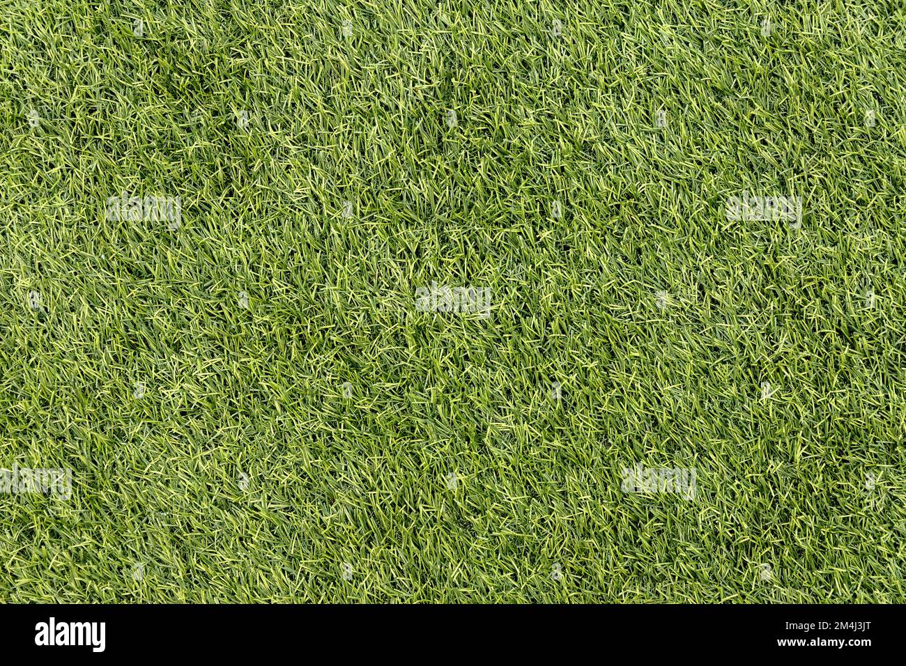 Artificial grass texture, close up Stock Photo - Alamy
